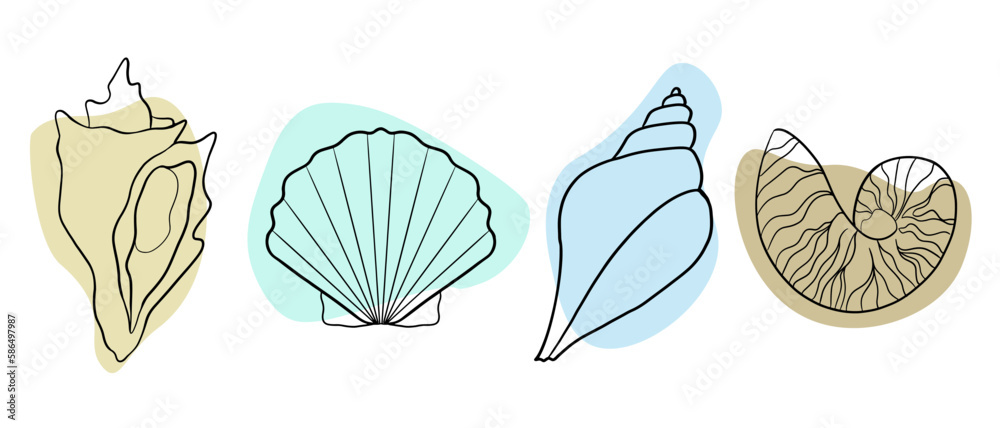 Vector set of seashells contour line art. Simple illustration ...