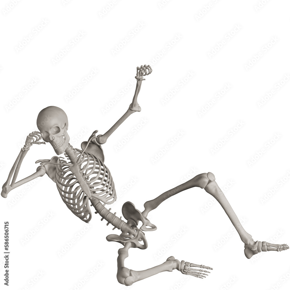 skeleton posing 3d render illustration with transparent background ...