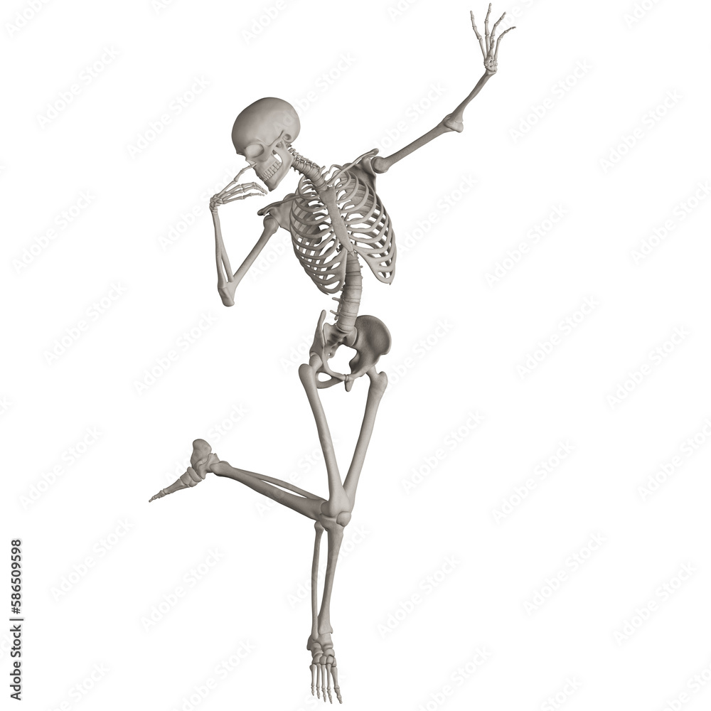skeleton posing 3d render illustration with transparent background ...