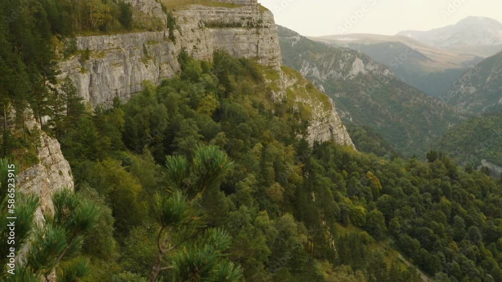 Vidéo Stock Beautiful view of the steep cliff and gorge. Pine trees ...