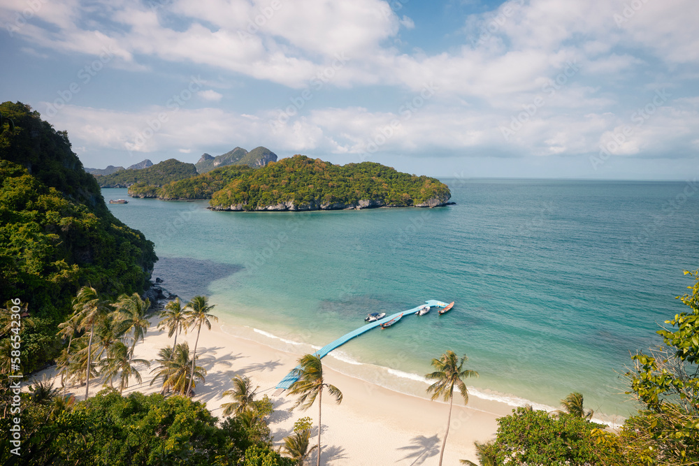 Foto de Idyllic sand beach with palm trees. Group of beautiful tropical ...