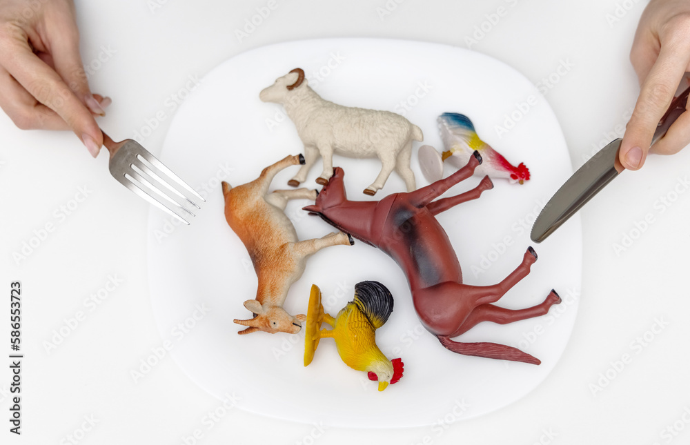 farm animals plastic toys in white plate and woman female hands holding ...