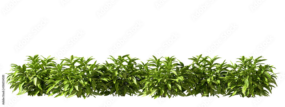 Greenery tropics shrubs row cutout 3d render png file ilustración de ...