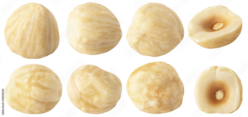 Isolated peeled roasted hazelnuts. Collection of whole peeled hazelnuts ...