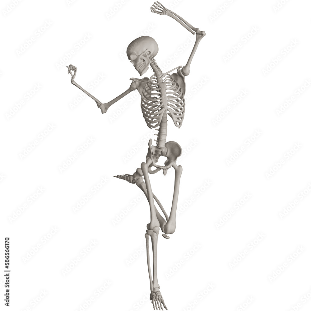 skeleton posing 3d render illustration with transparent background ...