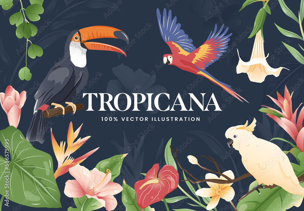 Tropical Illustrations Set Stock Template | Adobe Stock
