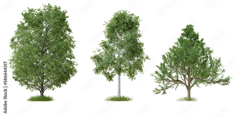 PNG tree file design for drag and drop and fasrt use, 3d illustration ...