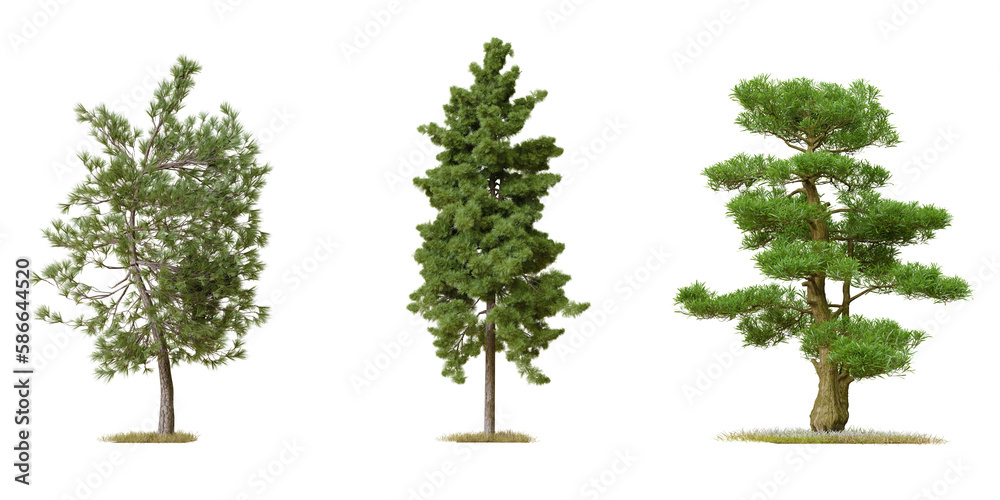 PNG tree file design for drag and drop and fasrt use, 3d illustration ...