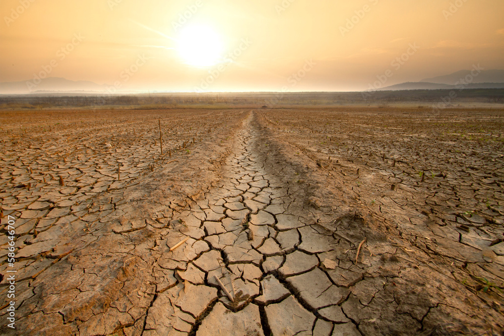 Foto de Canal middle agricultural dry by drought and heatwave on summer ...