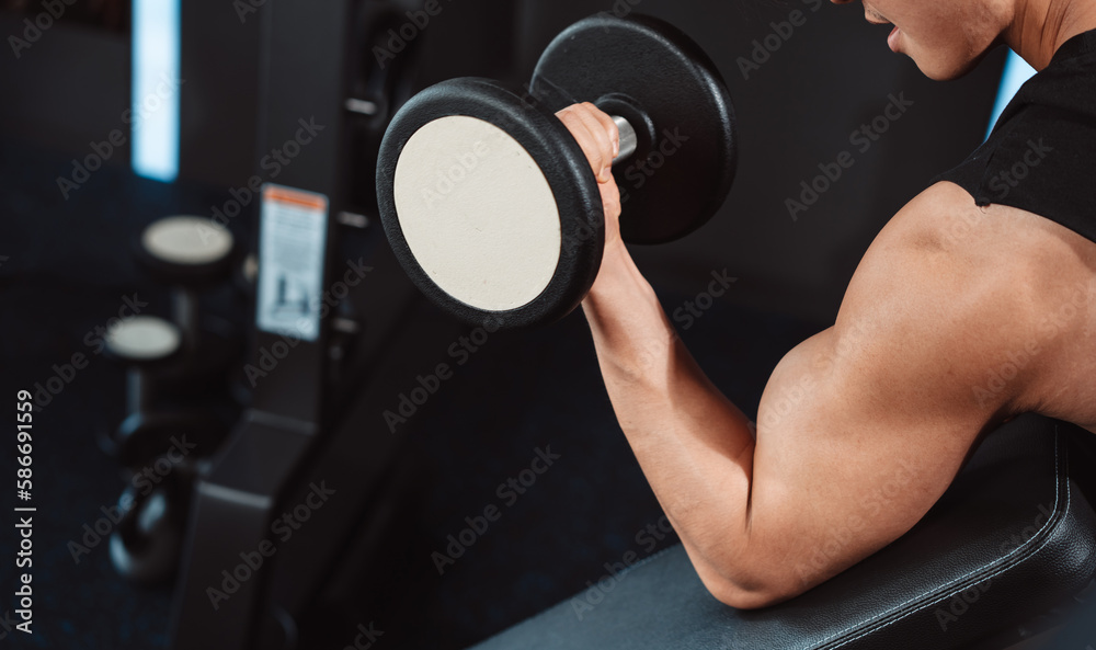 Male working out Bodybuilder with dumbbell weights at the gym.man ...