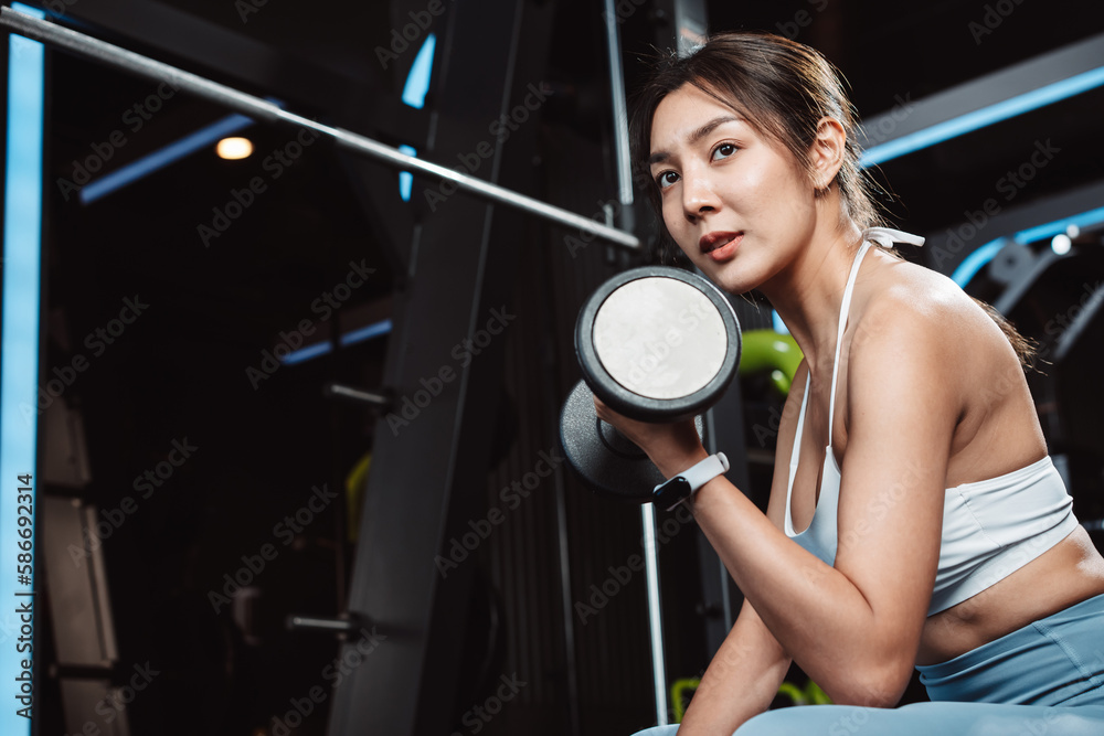 Woman working out Bodybuilder with dumbbell weights at the gym ...
