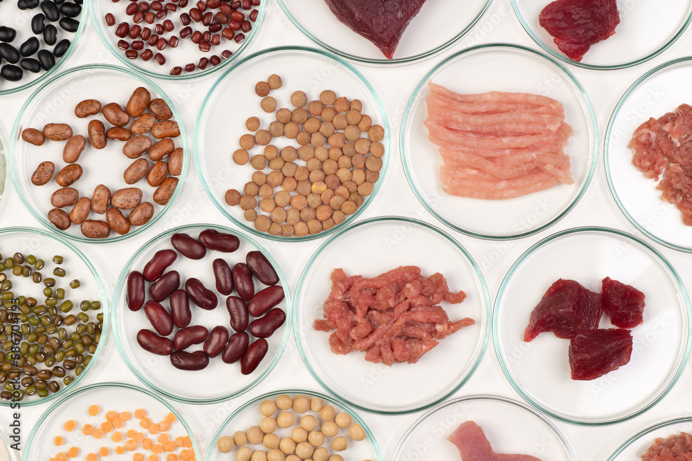 Testing and comparing meat and plant based sources of protein in a ...