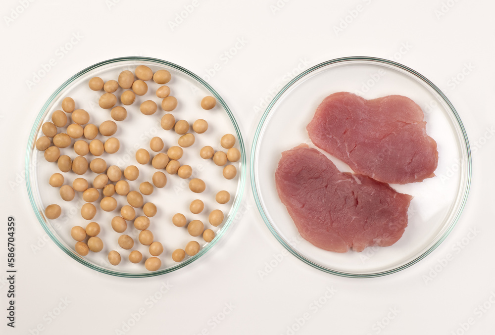 Testing and comparing meat and plant based sources of protein in a ...