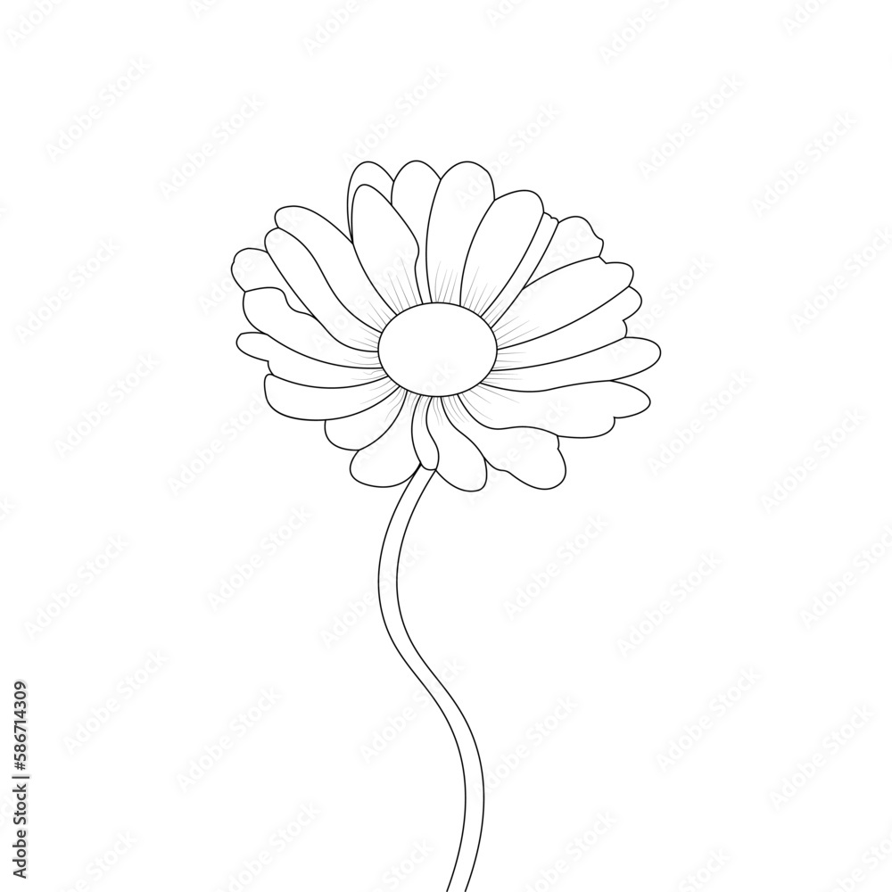 Daisy Flower Coloring Page And Book Stock Vector | Adobe Stock