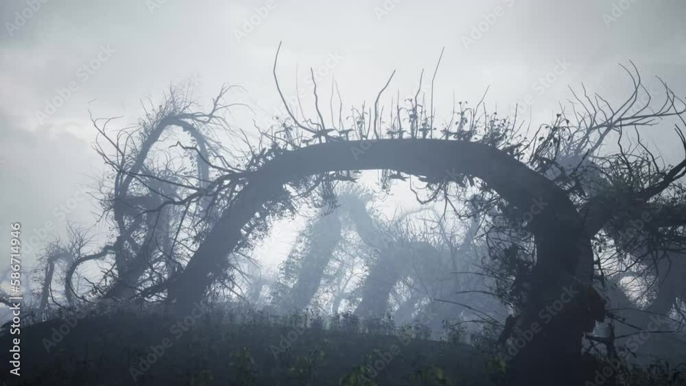 Malformed Forest, Gloom, Horror, Trees, Cinematic 3D Animations ...