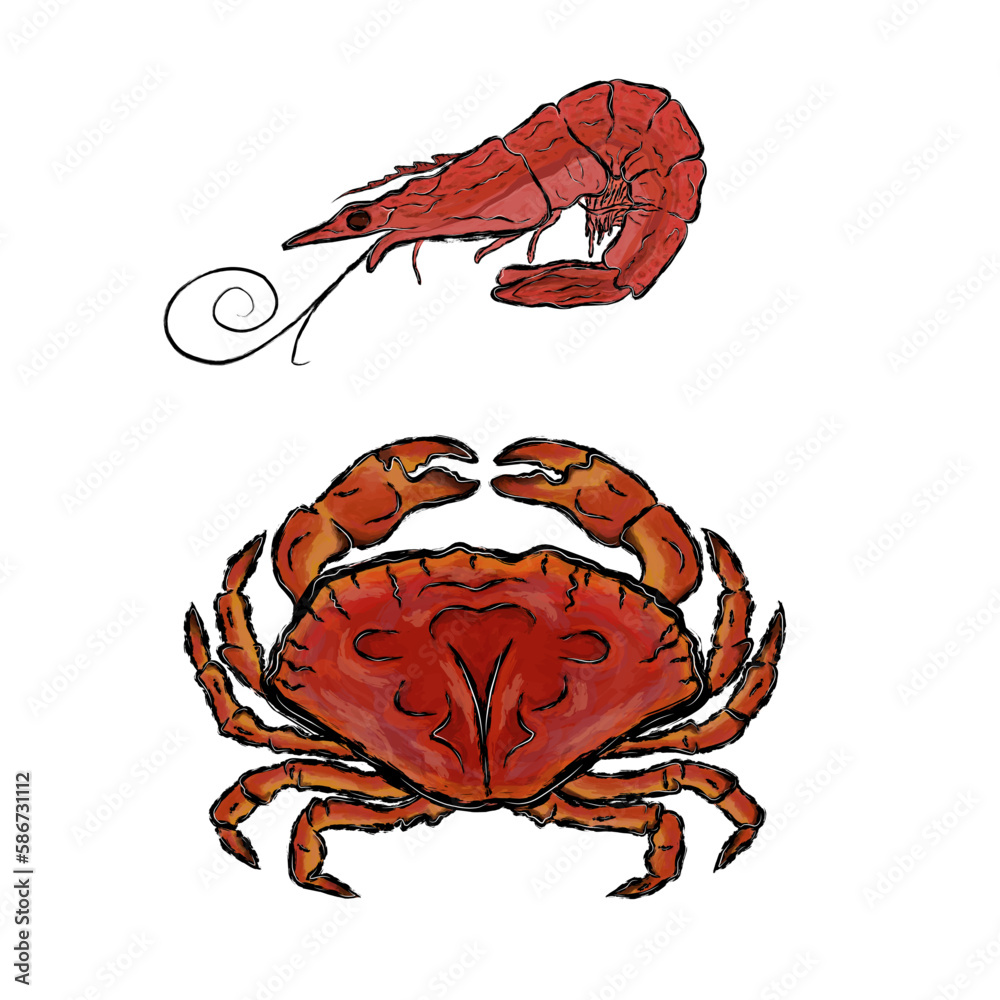 vector clipart, red crab and shrimp set, torn edge stroke Stock Vector ...