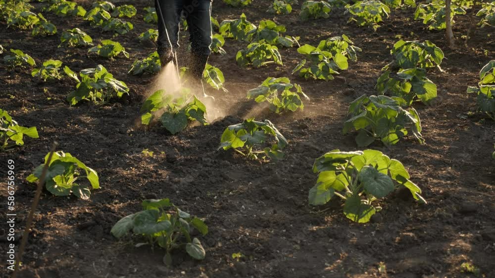 Plantation field working farmer spraying pesticide sprayer garden farm ...