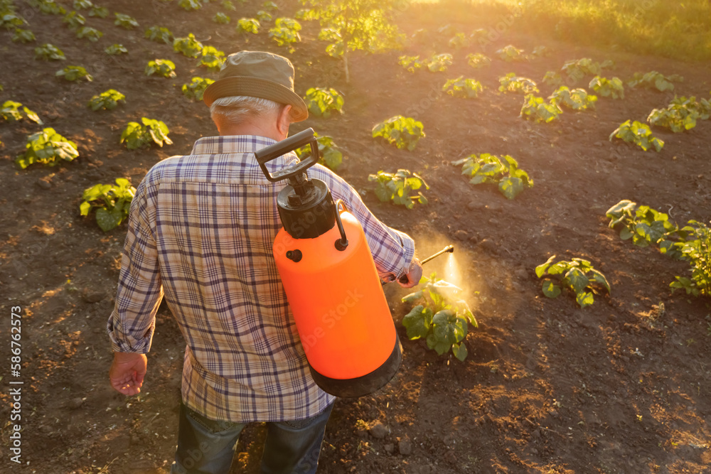 Backpack sprayer gardener working farmer spraying insecticide. Old farmer farm spraying ...
