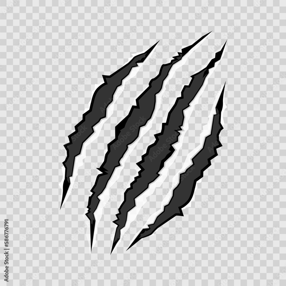 Carnivore animal scratches vector illustration isolated on transparent ...
