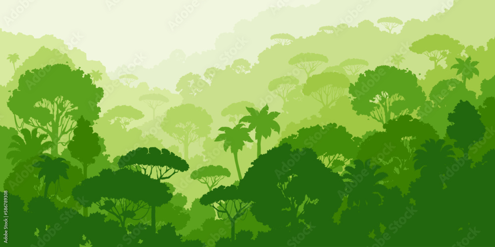 Jungle forest silhouette, tropical vector landscape with exotic flora ...