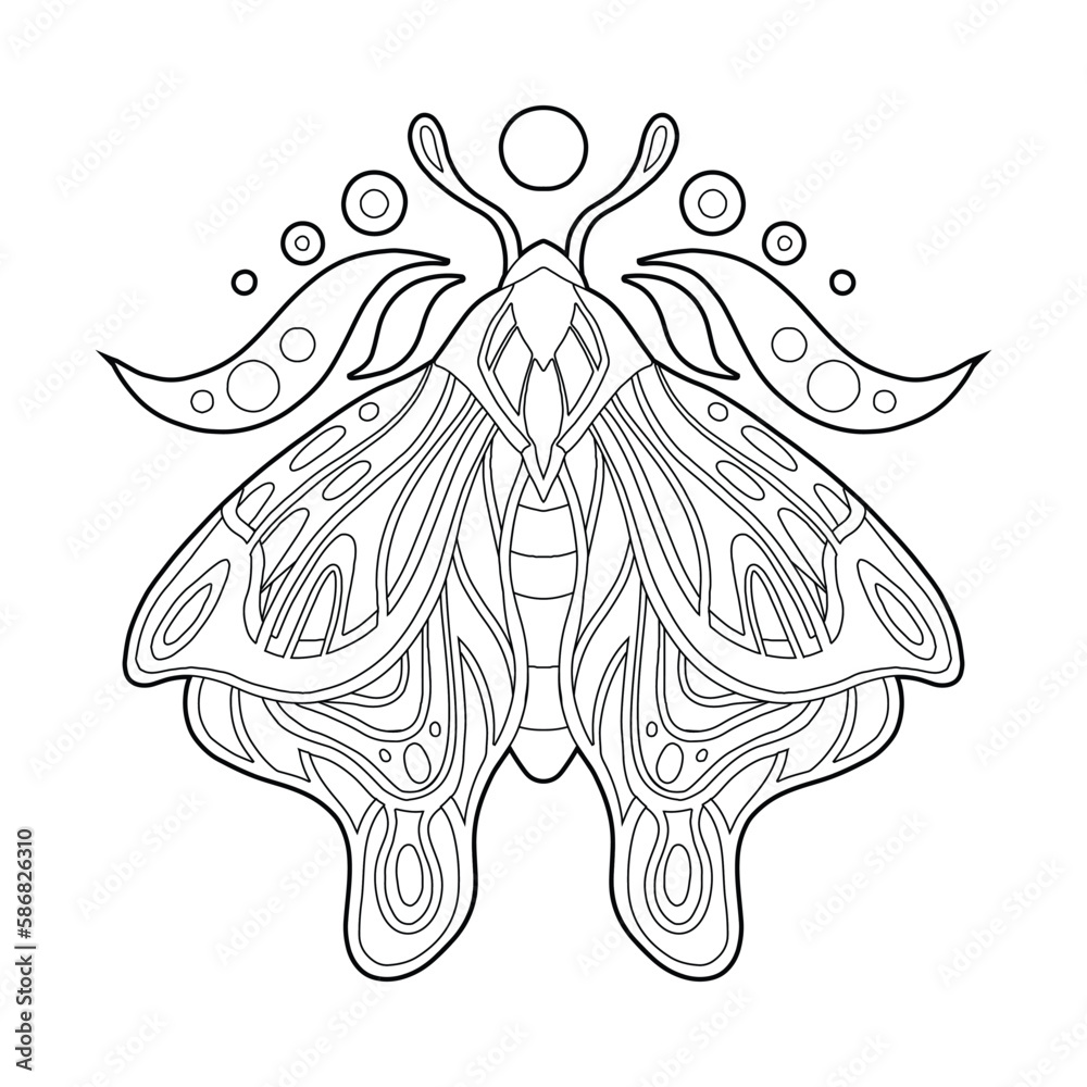 Vector sacred illustration of contour moth with the moon. Monochrome ...