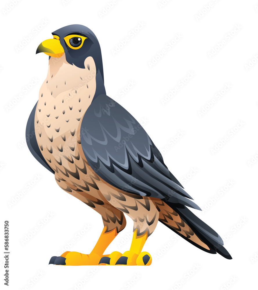Peregrine falcon cartoon illustration isolated on white background ...