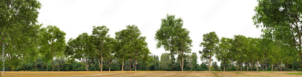 ภาพประกอบสต็อก trees treeline agriculture field hq arch viz cutout ภาพ ...