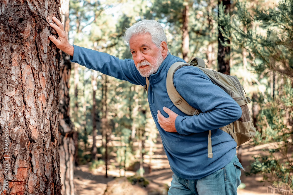 Old Senior Bearded Man in a Trekking Day in the Mountain Woods Stops in ...
