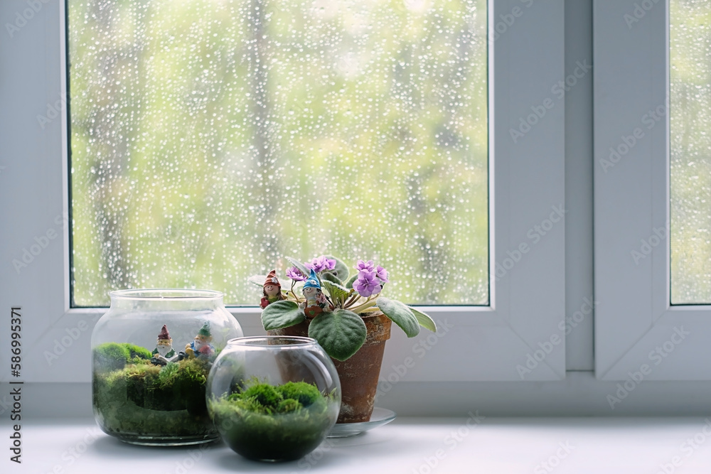 mini plants with decor in glass terrarium on abstract windowsill ...
