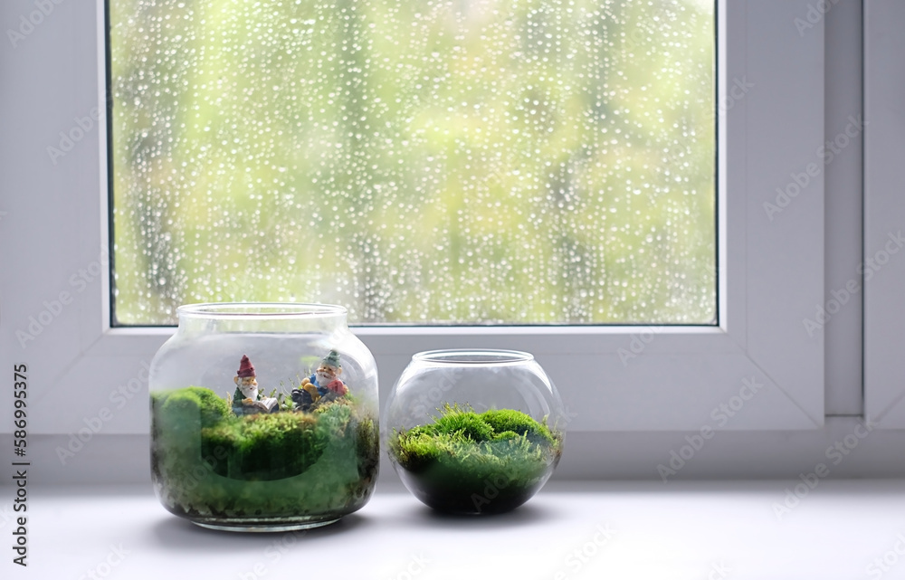 mini plants with decor in glass terrarium on abstract windowsill ...