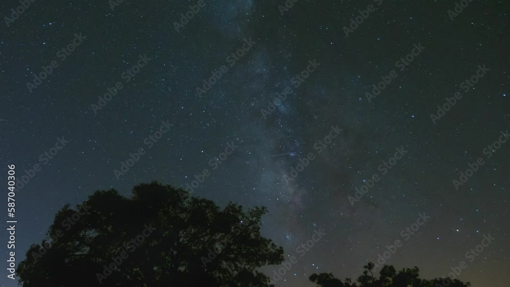 A starry sky with a milky path and the silhouette of a lush tree ...