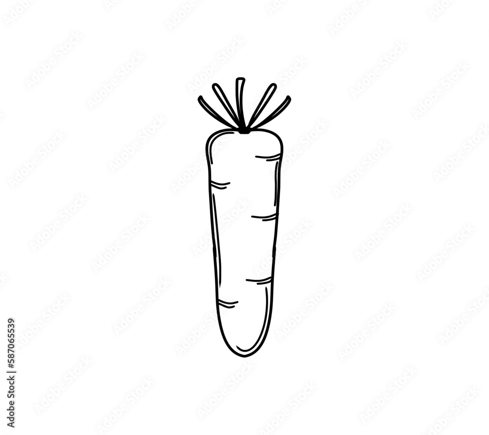 Carrot, root vegetable, freehand drawing with black stroke, on a ...