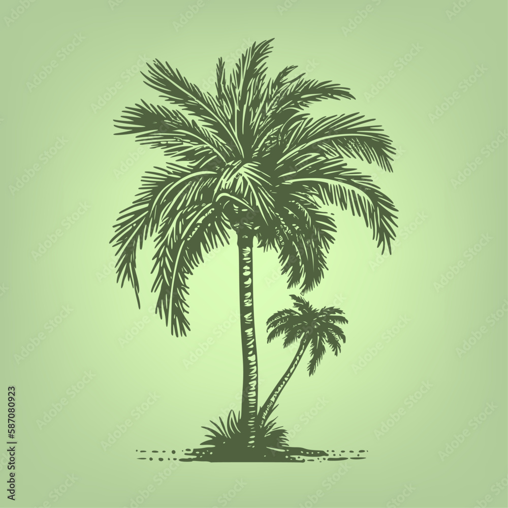 Palm tree. Woodcut engraving style hand drawn vector illustration ...