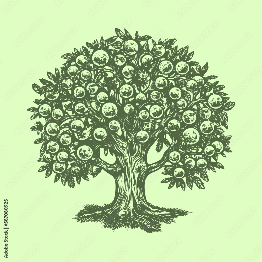 Fruitful tree. Woodcut engraving style hand drawn vector illustration ...