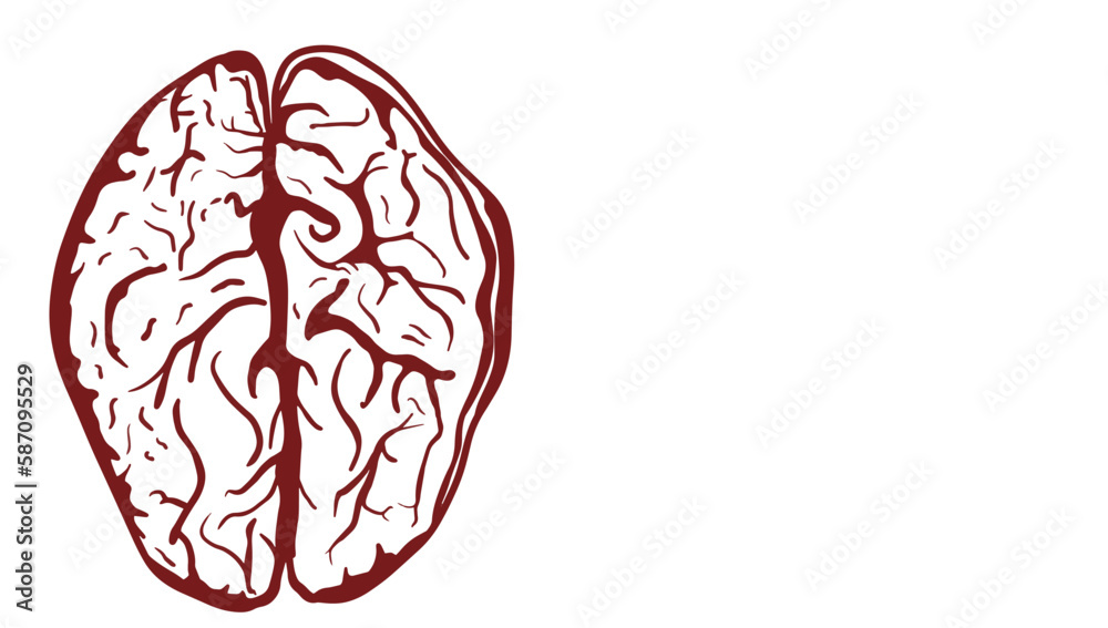 Textured brain-shaped blank background design Stock Vector | Adobe Stock