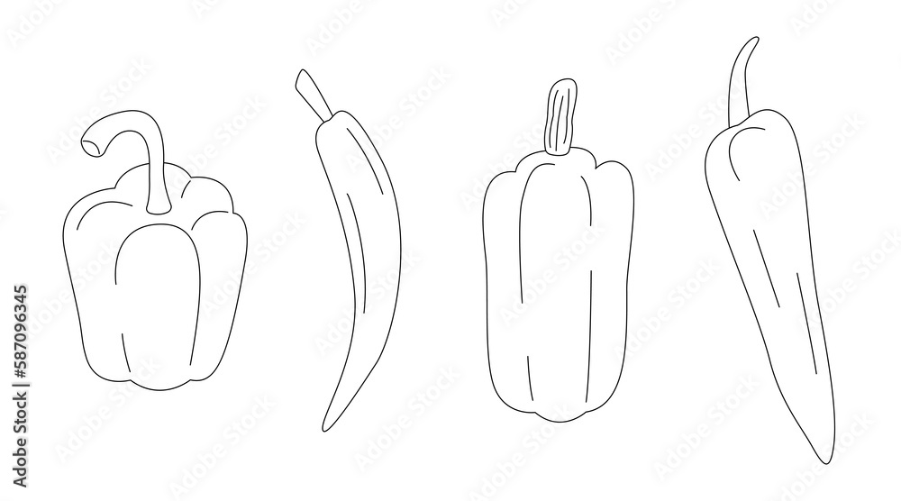 Different peppers line art set. Bell, chili, banana pepper collection ...
