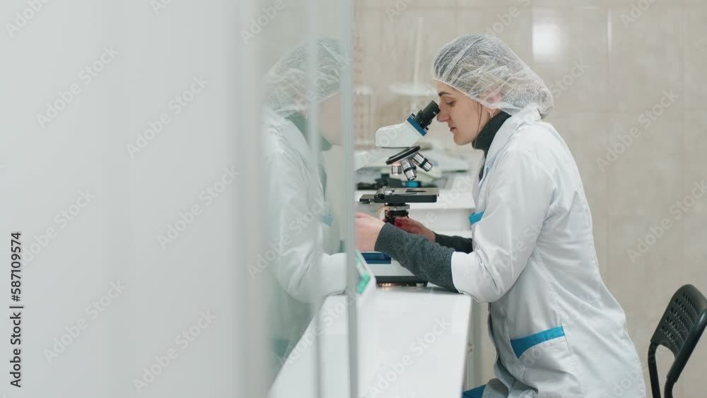 Vidéo Stock An employee of the brewery's laboratory conducts a chemical ...