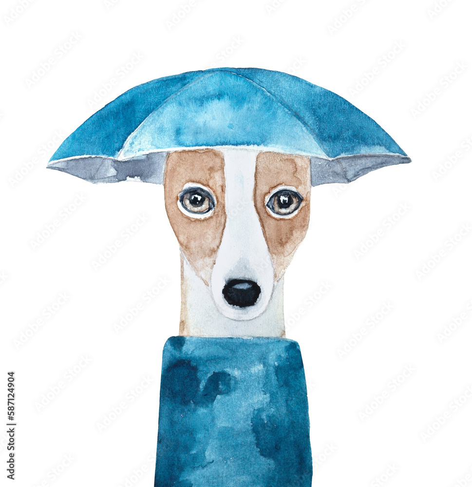 Watercolour illustration of funny whippet dog wearing light blue ...