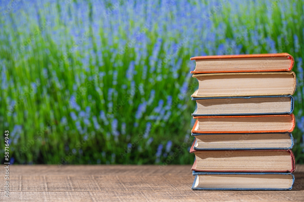 Book stack in the library room and bookshelf for business and education ...