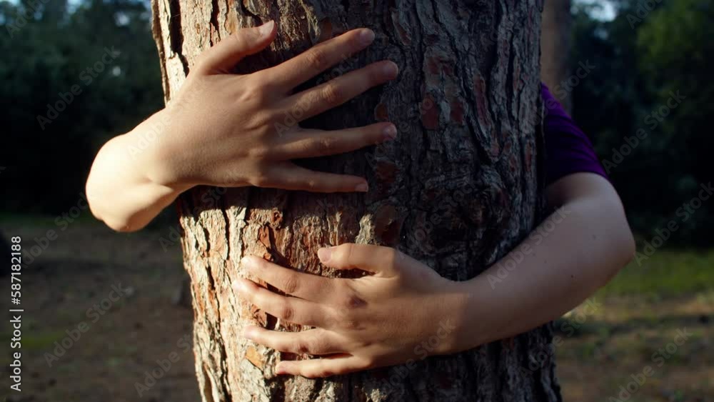 Vidéo Stock Earth day, love for nature, arms hugging tree from behind ...