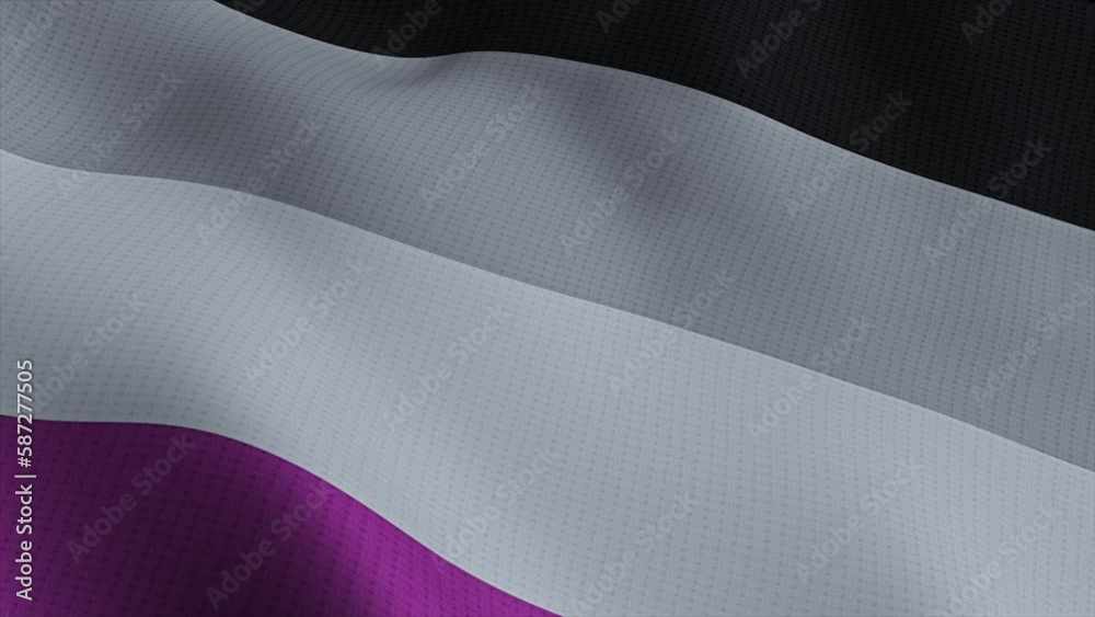 asexuThe Asexual Pride Flag waving. Asexual Pride Flagal flag vídeo do ...