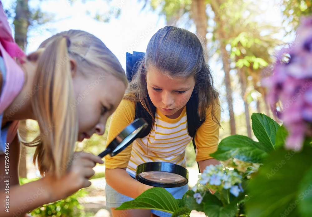 Learning, magnifying glass and girls with leaf outdoor for looking at ...