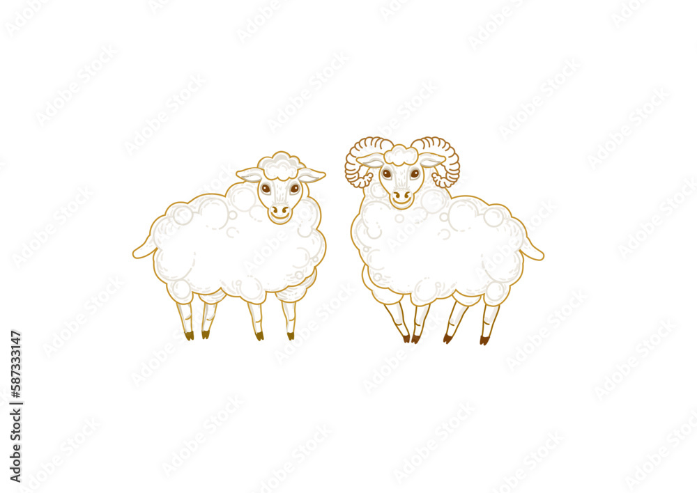 Vector illustration with cute sheep and ram. Two outline sheeps ...