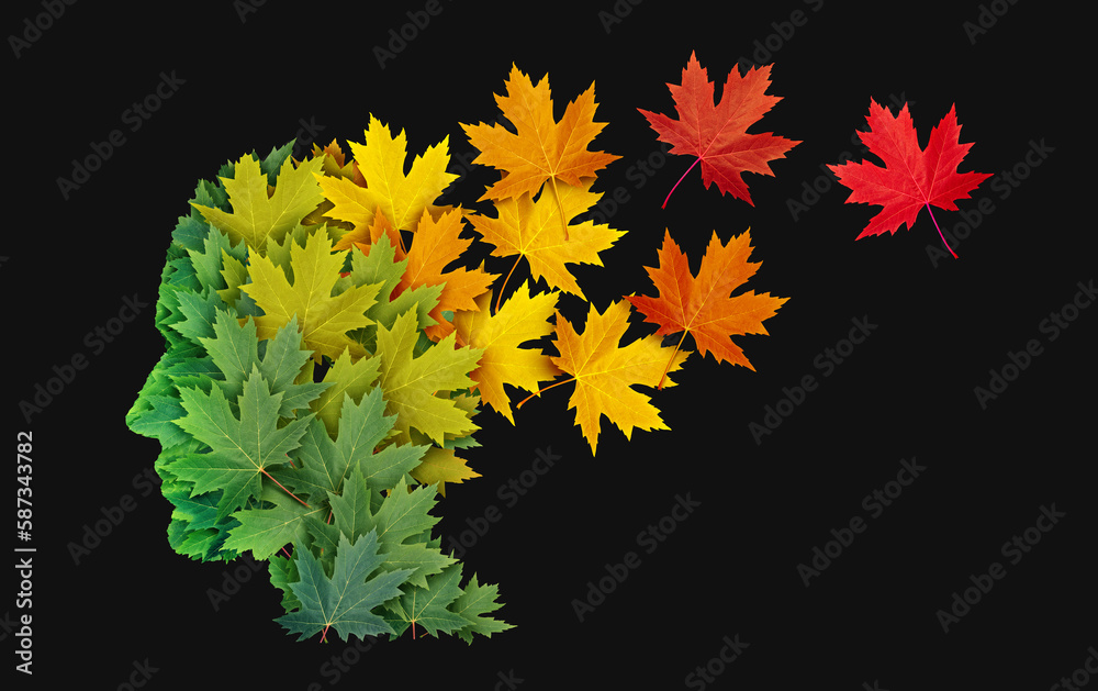 Cognitive Function Decline abnd Mental illness or Alzheimer's disease ...
