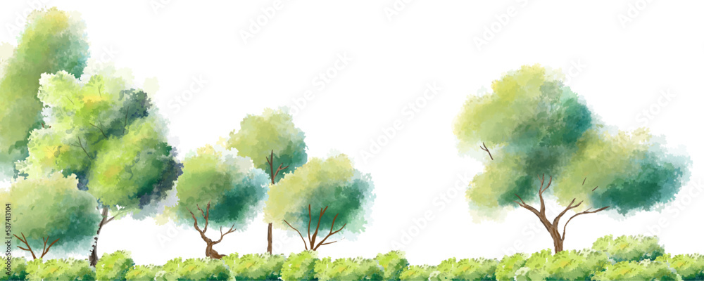 Watercolor tree vector in side view painting botanical for section and ...