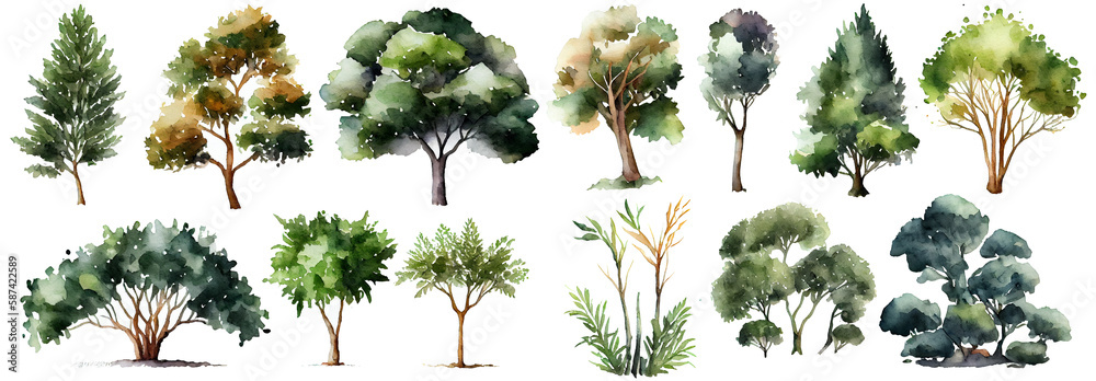 Watercolor trees collection. Set of hand drawn trees. Forest tree pack ...