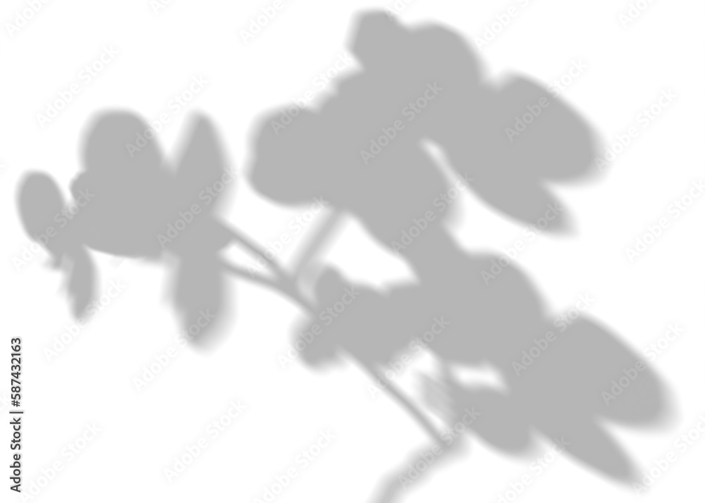 Shadow from plants, leaves, overlay effect. Realistic gray shadow on ...