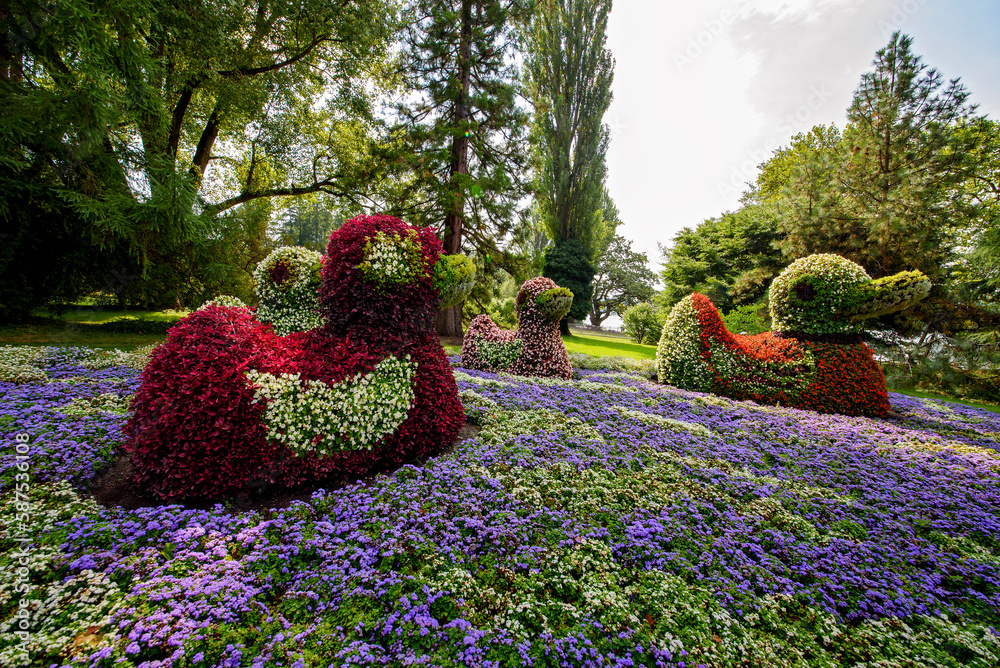 Duck statues made from flowers in Mainau Island, Lake Constance ...