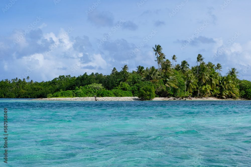 Remote tropical island paradise with coconut palm trees, white sandy ...