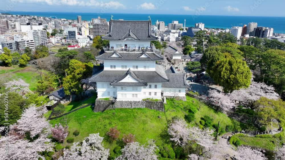 Aerial view of historic Japanese castle in spring with cherry blossom ...